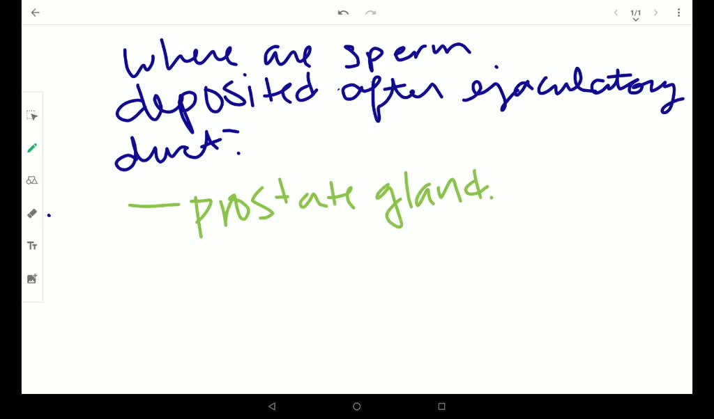 SOLVED:Watch this video (http://openstaxcollege.org/I/ spermpath) to explore the structures of ...