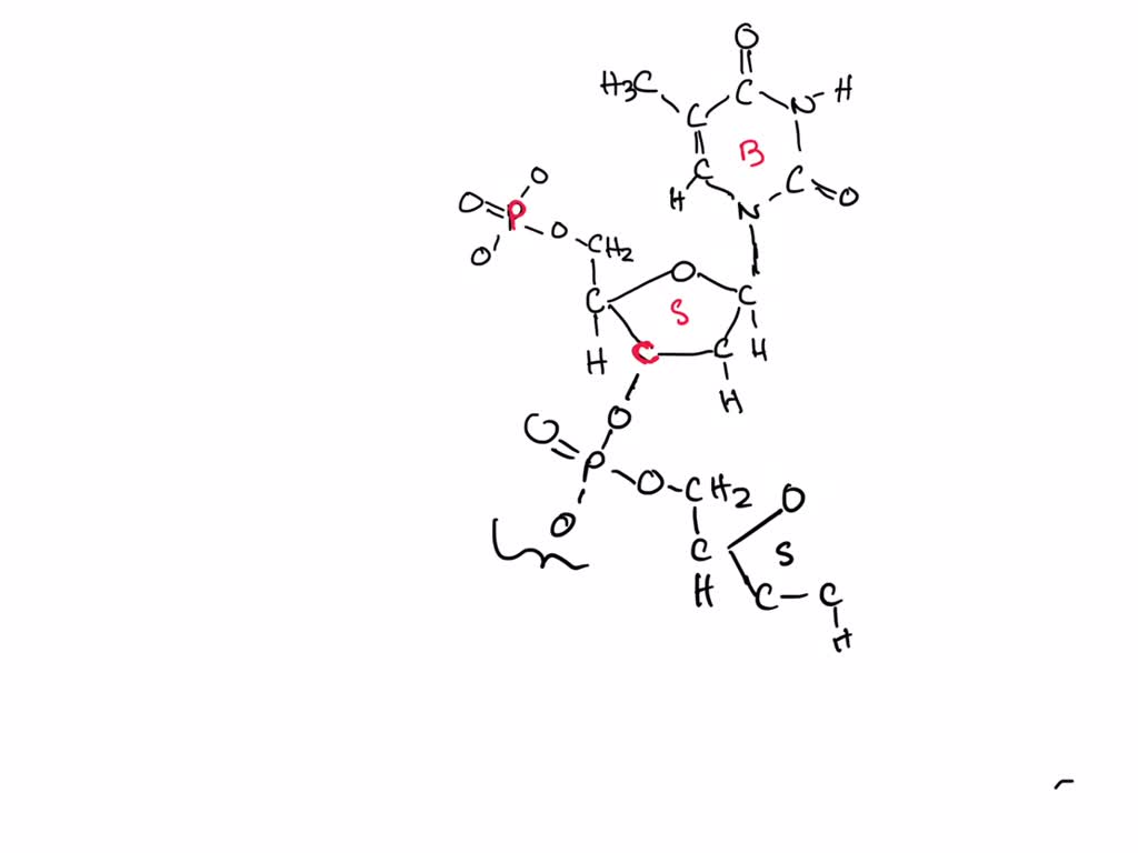 SOLVED:Draw the chemical structure of the three components of a nucleo ...