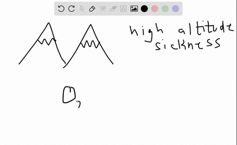 Explain acclimatization that takes place in the respiratory...