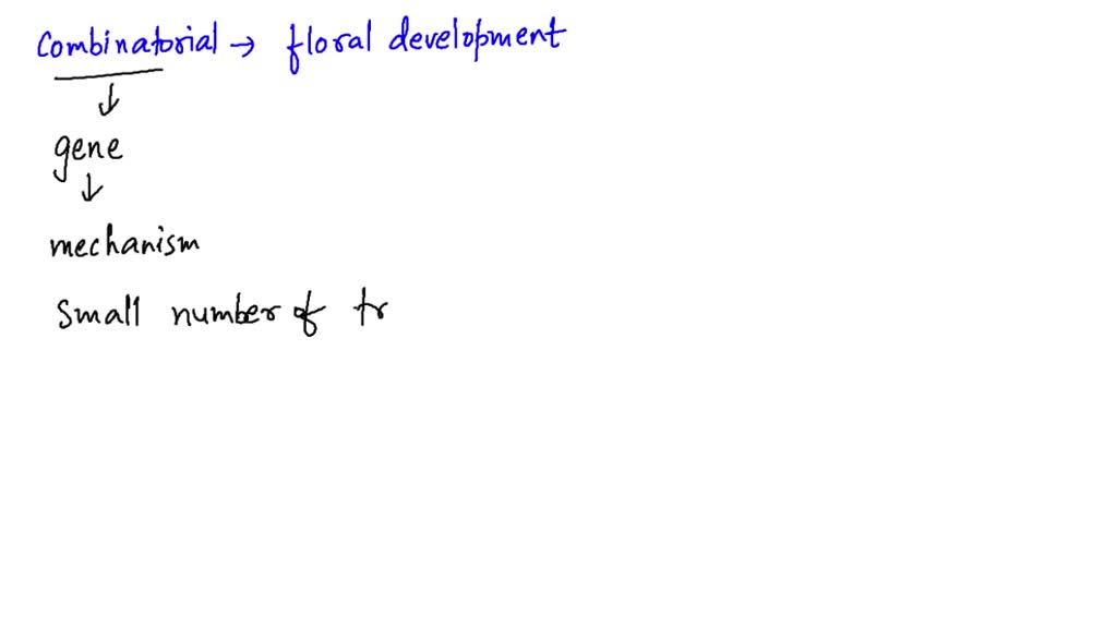⏩solvedhow Does Combinatorial Control Work In The Context Of Floral Numerade