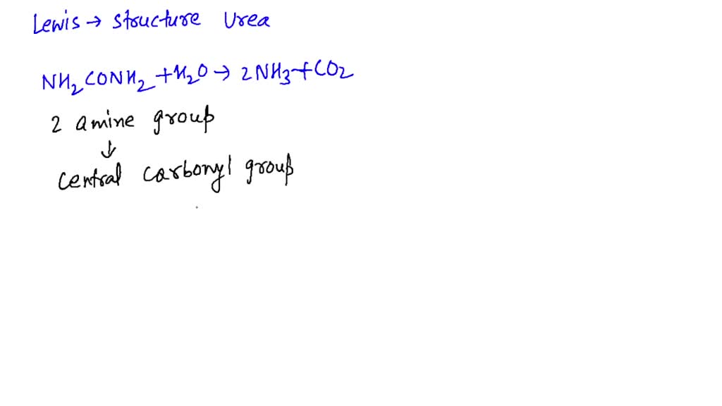 SOLVED:Urea is converted into ammonia and carbon dioxide by the enzyme ...