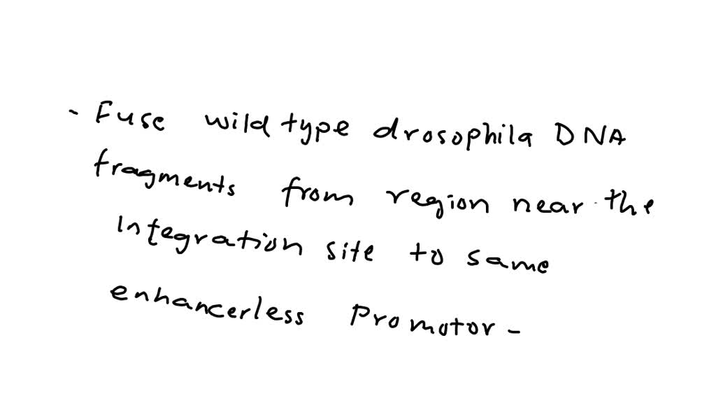 ⏩SOLVED:Assume you detected amylase using a Phadebas press test on a ...