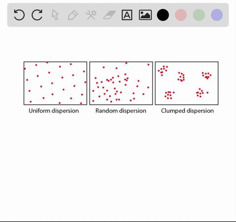 SOLVED:A uniform dispersion pattern implies that members of a ...
