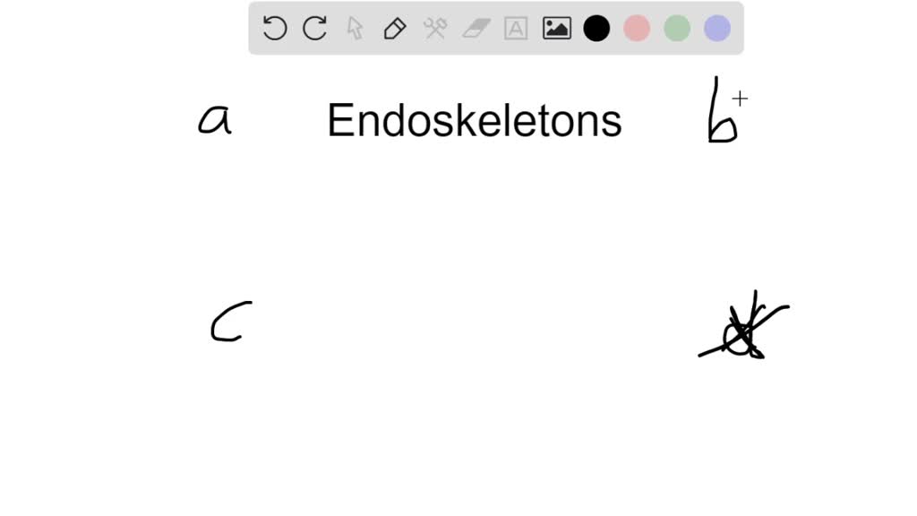 SOLVED: Which two of these characteristics are examples of endoskeletons?