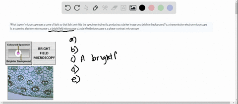 SOLVED:What type of microscope uses an annular stop? a. a transmission ...