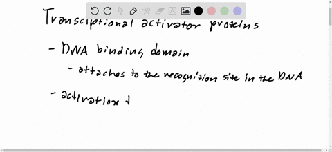 SOLVED:Describe the structural features of transcriptional activator ...