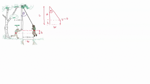 ⏩SOLVED:A hiker plans to swing on a rope across a ravine in the… | Numerade