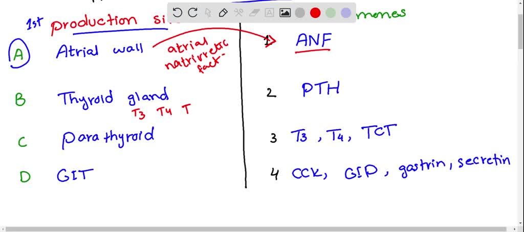 Match the column: Column I (Production Site) A. Atrial wall B. Thyroid ...