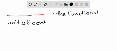SOLVED:The is the basic unit of contraction. a. osteoblast b. sarcomere ...