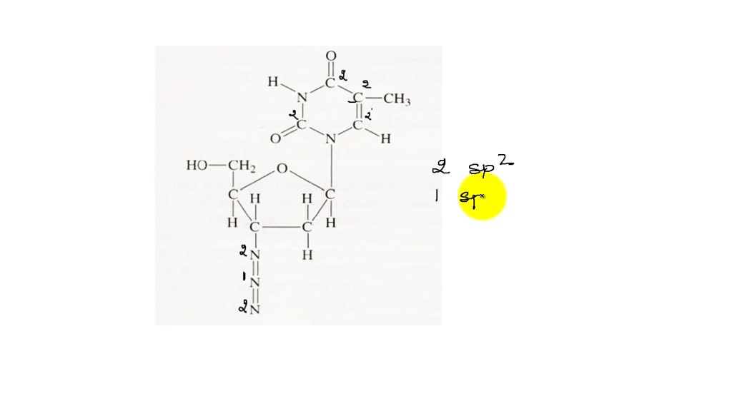 SOLVED:The compound 3 '-azido- 3^{\prime} -deoxythymidine, commonly ...