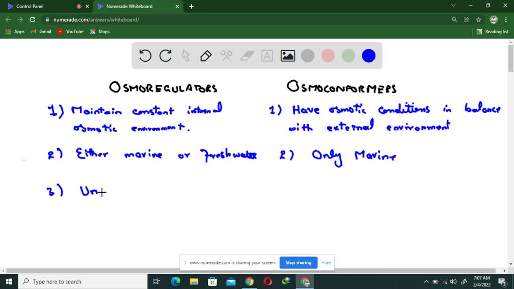 SOLVED:What is the difference between protandrous and protogynous?