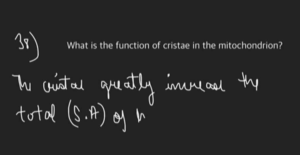 SOLVED:What is the function of cristae in the mitochondrion?