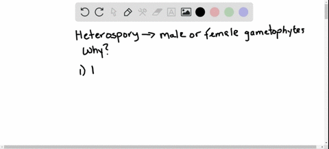 SOLVED:Contrast microphylls with megaphylls in terms of structure ...