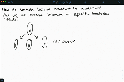 SOLVED:Compare and contrast how a bacterial population becomes ...
