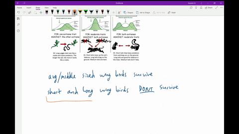 SOLVED:Compare and contrast how the bottleneck effect and the founder ...