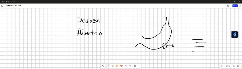 SOLVED:The are double sheets of peritoneal membrane that hold some of ... SOLVED:The are double sheets of peritoneal membrane that hold some of ...