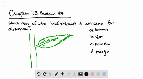 Plant Form and Physiology | Biology for AP Course…