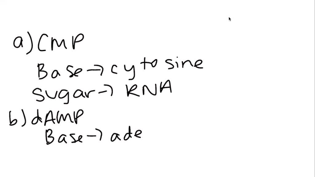SOLVED:Identify the base and sugar in each of the following nucleotides ...