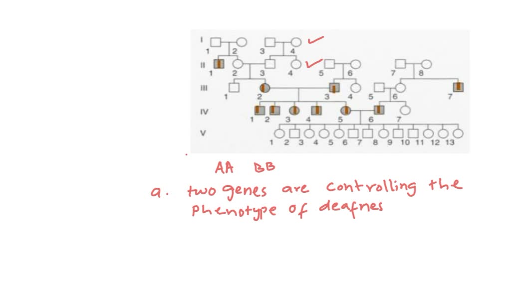 SOLVED: Filled-in symbols in the pedigree that follows designate ...