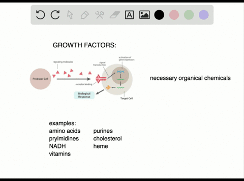 SOLVED:Microaerophiles that grow best with a high concentration of ...
