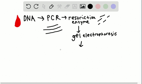 Chapter 12, DNA Technology and Genomics Video Solutions, Campbell ...