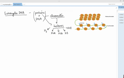 ⏩SOLVED:Describe the structure of a nucleus breeding scheme. | Numerade
