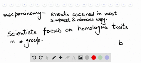 SOLVED: What is the difference between maximum parsimony and maximum likelihood and what is ...