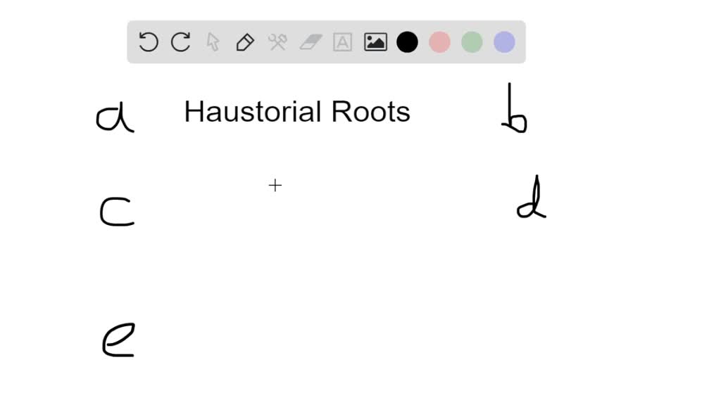 SOLVED:Haustorial roots are characteristic of plants that are: a ...