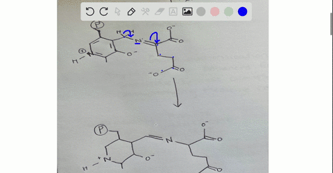 SOLVED:The Organic Chemistry of Metabolic Pathways | Organic Chemistry ...