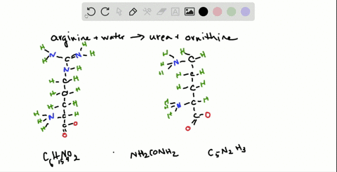 SOLVED:Protein Intake: 95gm 24hr Urinary Urea Nitrogen = 15gm Calculate ...