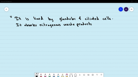 SOLVED:The given figure shows alimentary canal of cockroach. Identify ...
