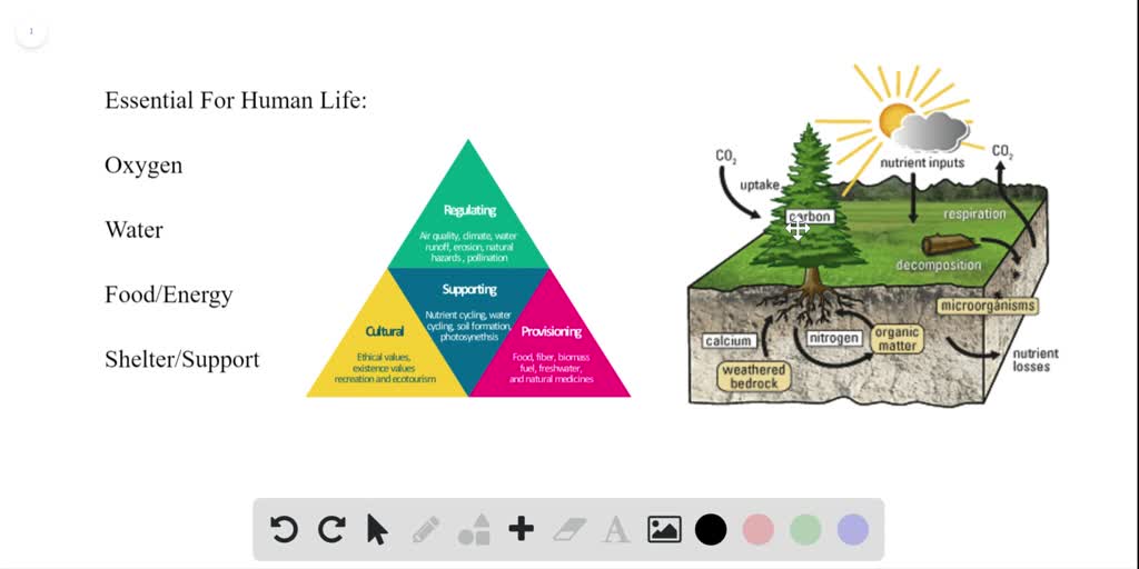 SOLVED:Design a planetary ecosystem based entirely on chemosynthesis ...