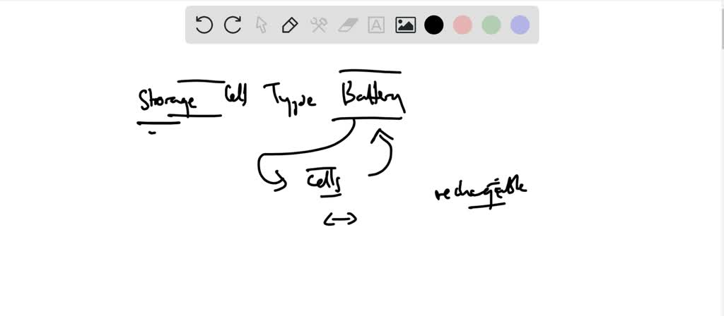 ⏩SOLVED:What are storage granules and why are they important to the ...