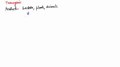 Microbial Loop