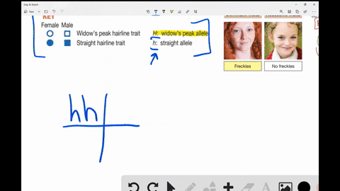 SOLVED:Both Tim and Jan (problem 6 ) have a widow's peak (see Module 9. ...