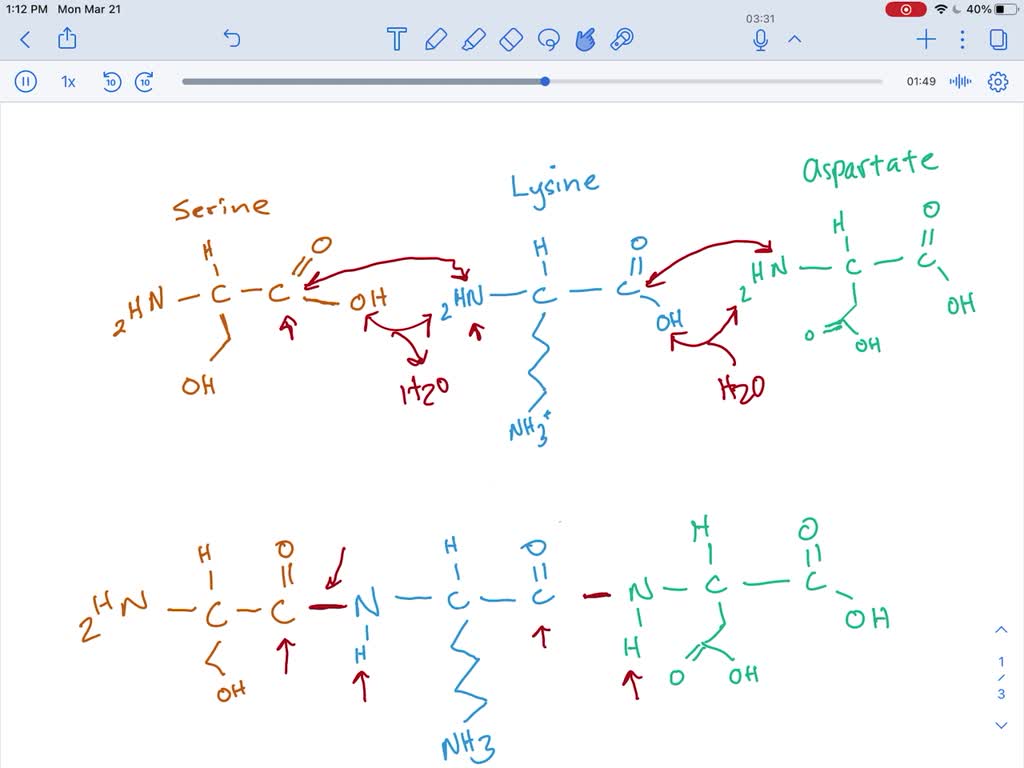 SOLVED:a. Draw the condensed structural formula of Ser-Lys-Asp. b ...