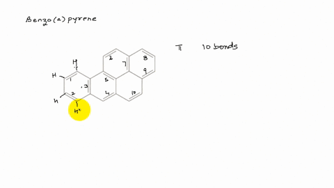 SOLVED:Benzo(a)pyrene is a potent carcinogen found in coal and ...