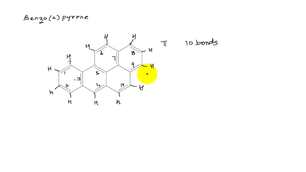 SOLVED:Benzo (a) pyrene is a potent carcinogen found in coal and ...
