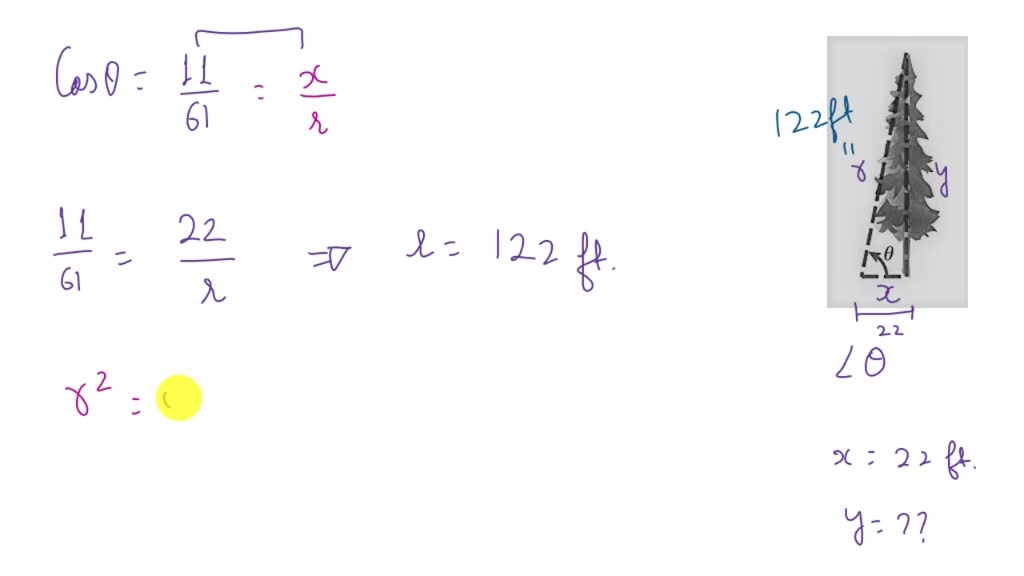 SOLVED:Let ∠θbe the angle of elevation from a point on the ground to ...