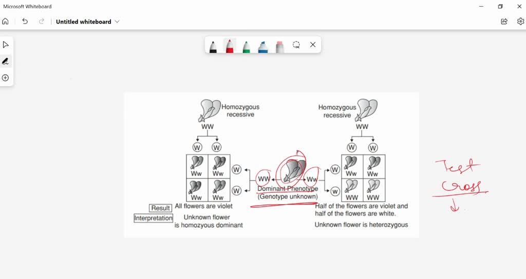 SOLVED:The below diagram represents (a) Back cross (b) Out cross (c ...