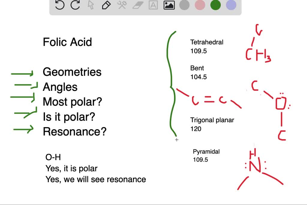 SOLVED:SAM and Folate are essential molecules in the one-carbon ...