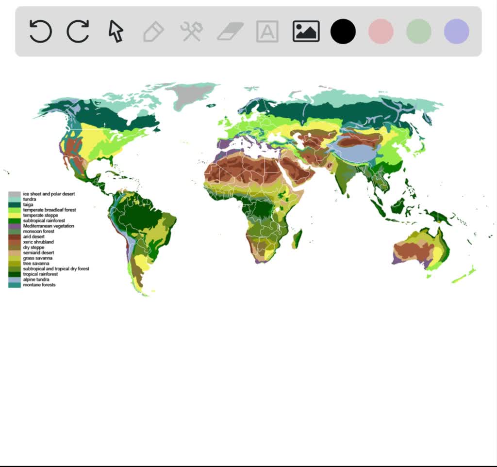 SOLVED:The Köppen climate classification system includes categories ...