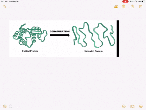 SOLVED:Suppose a sample of a protein is completely hydrolyzed and ...