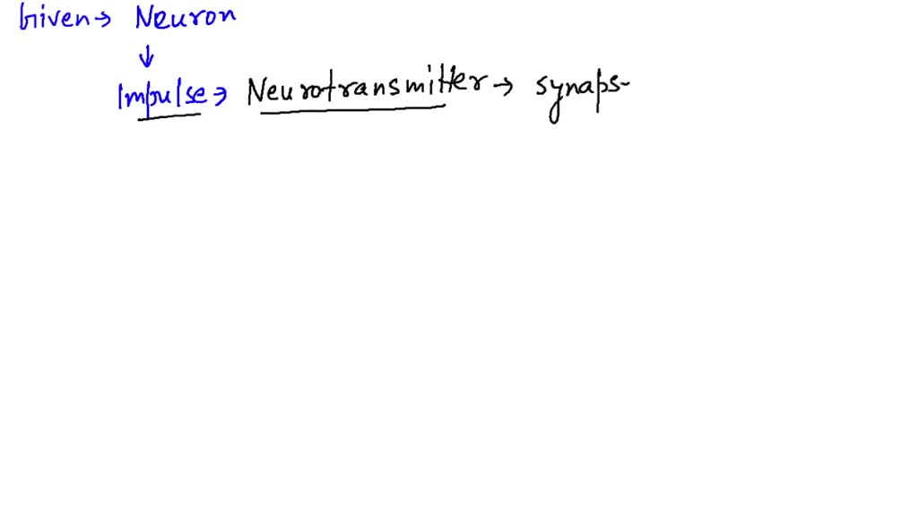 What constitutes a nerve impulse (action potential)? Describe the ...