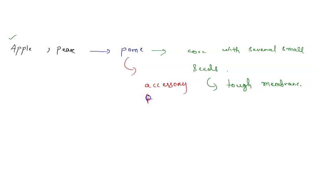 SOLVED:Apples, strawberries, and pears are examples of what kind of ...