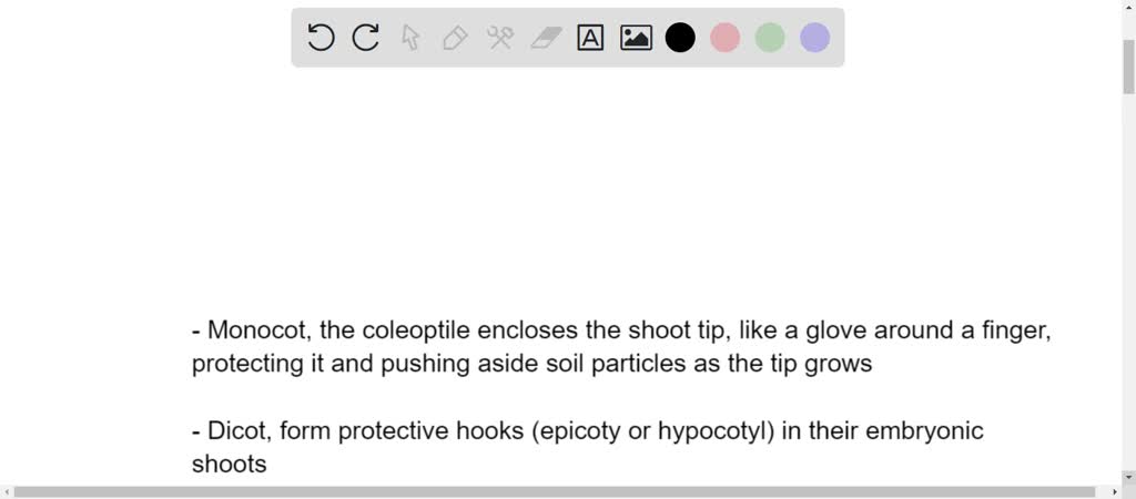 SOLVED:How do monocot and dicot seedlings protect the delicate shoot ... SOLVED:How do monocot and dicot seedlings protect the delicate shoot ...