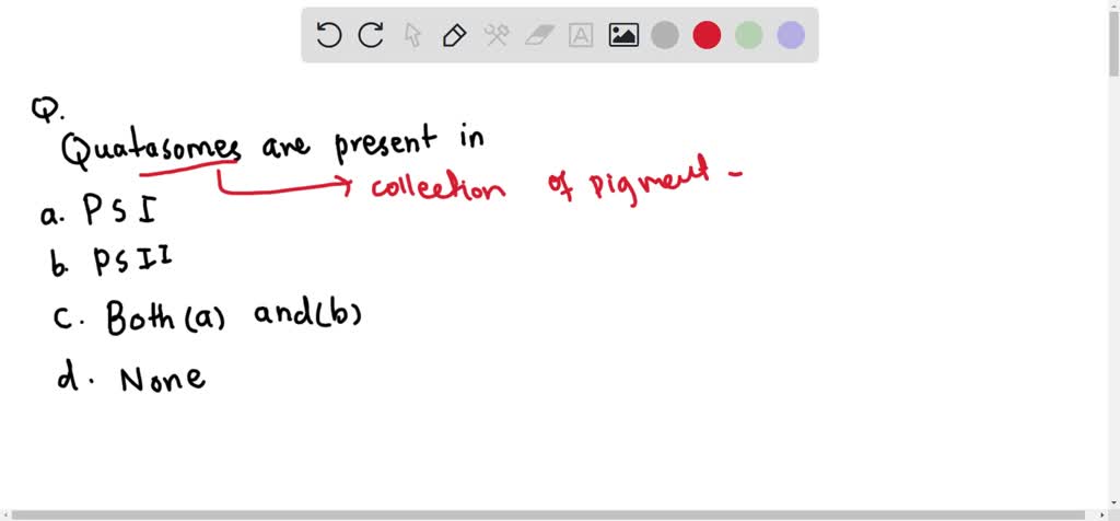 SOLVED:Quantasomes are present in (a) Pigment system I (b) Pigment ...