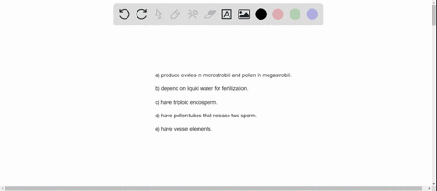 SOLVED:Conifers a. produce ovules in microstrobili and pollen in ...
