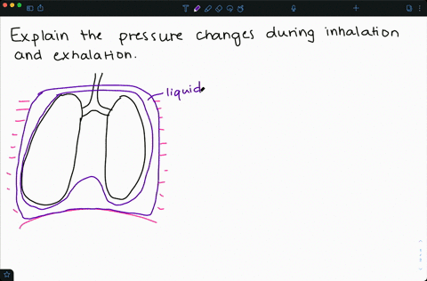 SOLVED:The differences among the atmospheric, the interpulmonary, and ...