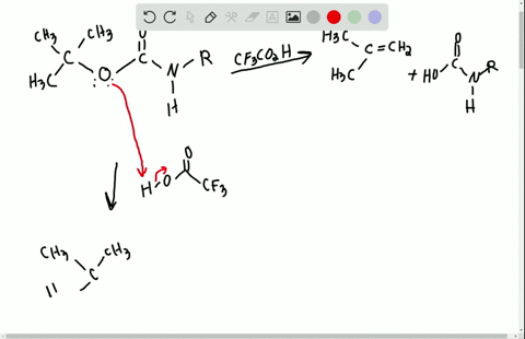 SOLVED:\mathrm{S}_{\mathrm{N}} 2 reactions take place with inversion of ...